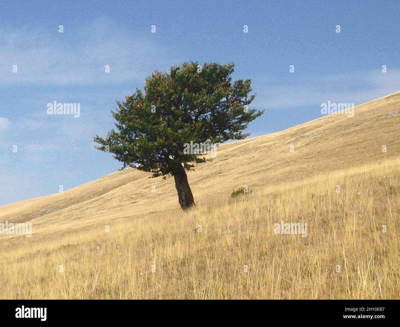 A hiking day on Bjelasnica mountain, Obalj peak Stock Photo - Alamy