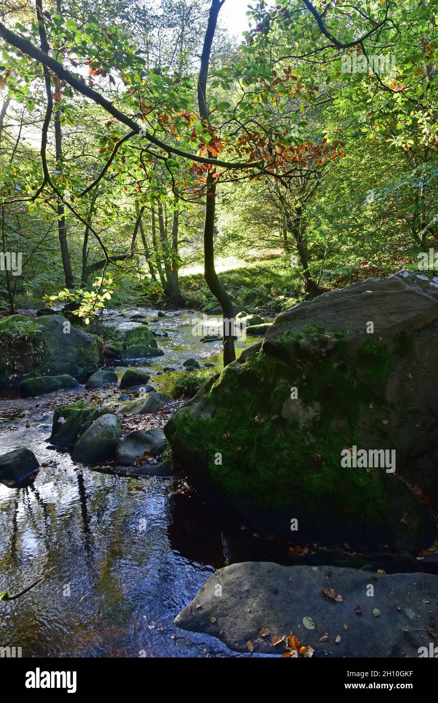 The river Hebden water, Hard Castle Crags, in Autumn, Hebden bridge ...