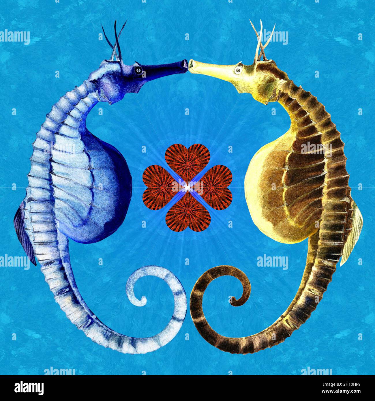 Kissing fish hi-res stock photography and images - Alamy