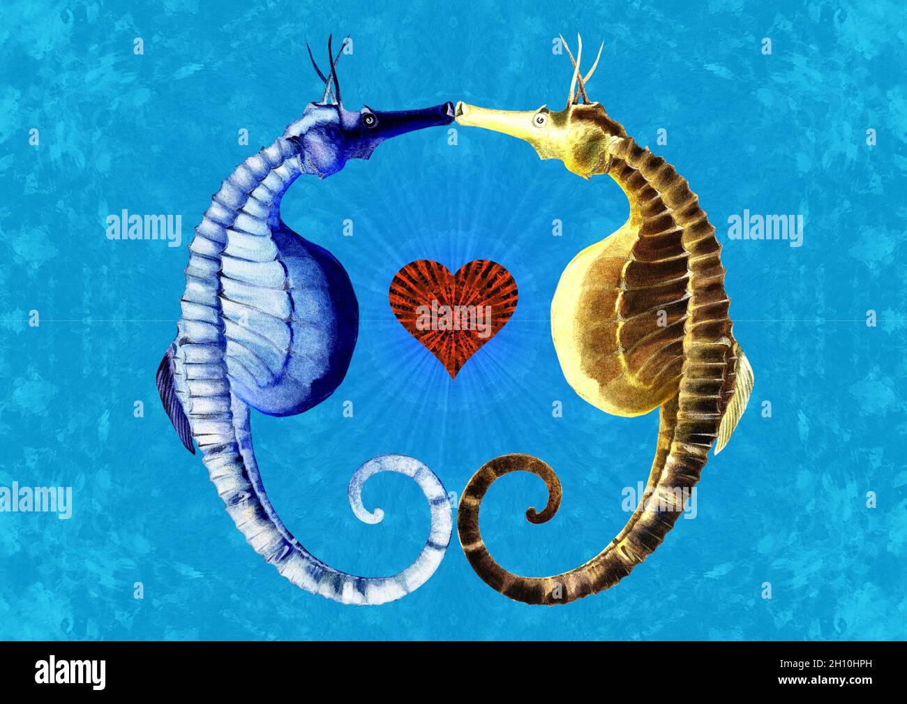 The kissing fish hi-res stock photography and images - Alamy