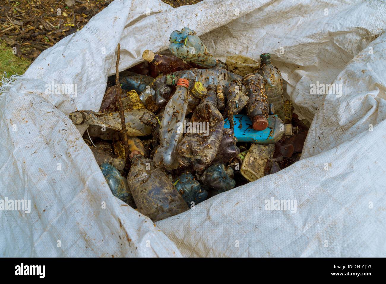 Volunteers cleaning garbage near river picking up a bottle plastic in ...