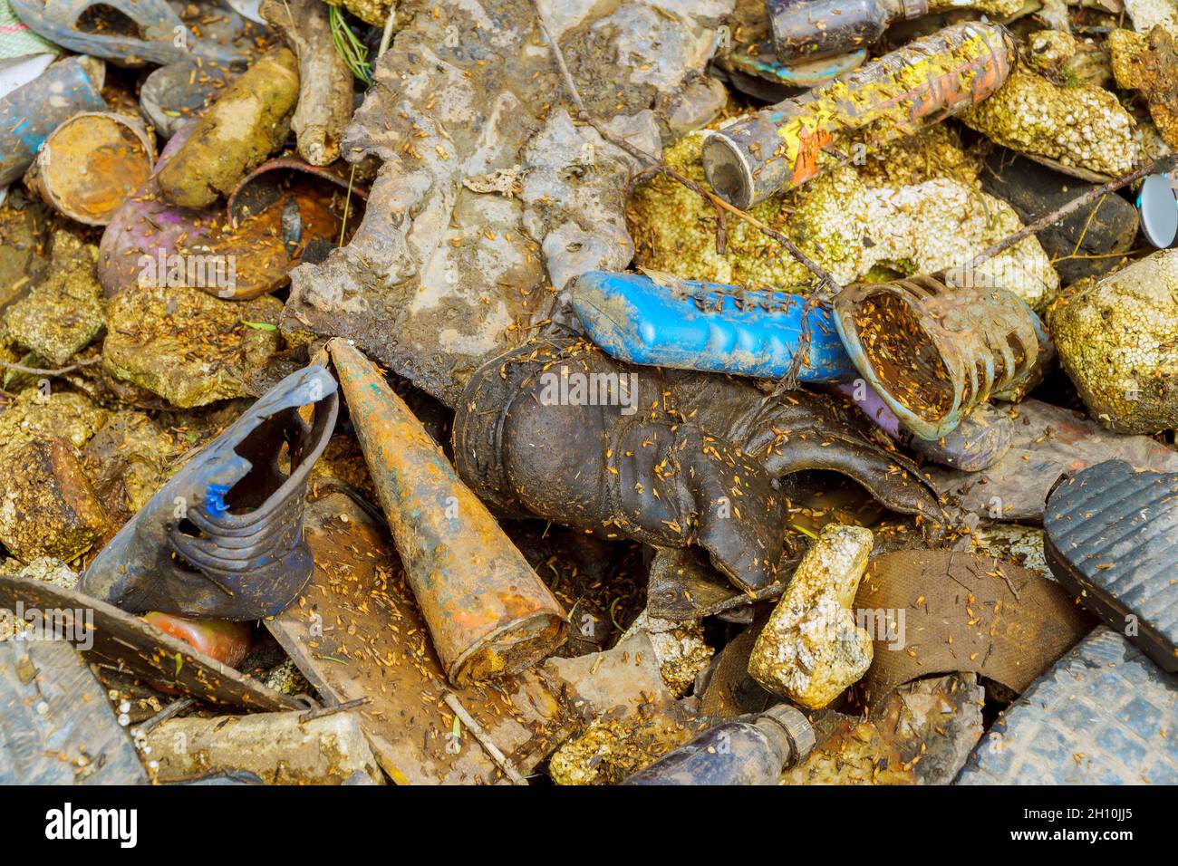 Volunteers cleaning garbage near river picking up a bottle plastic in ...