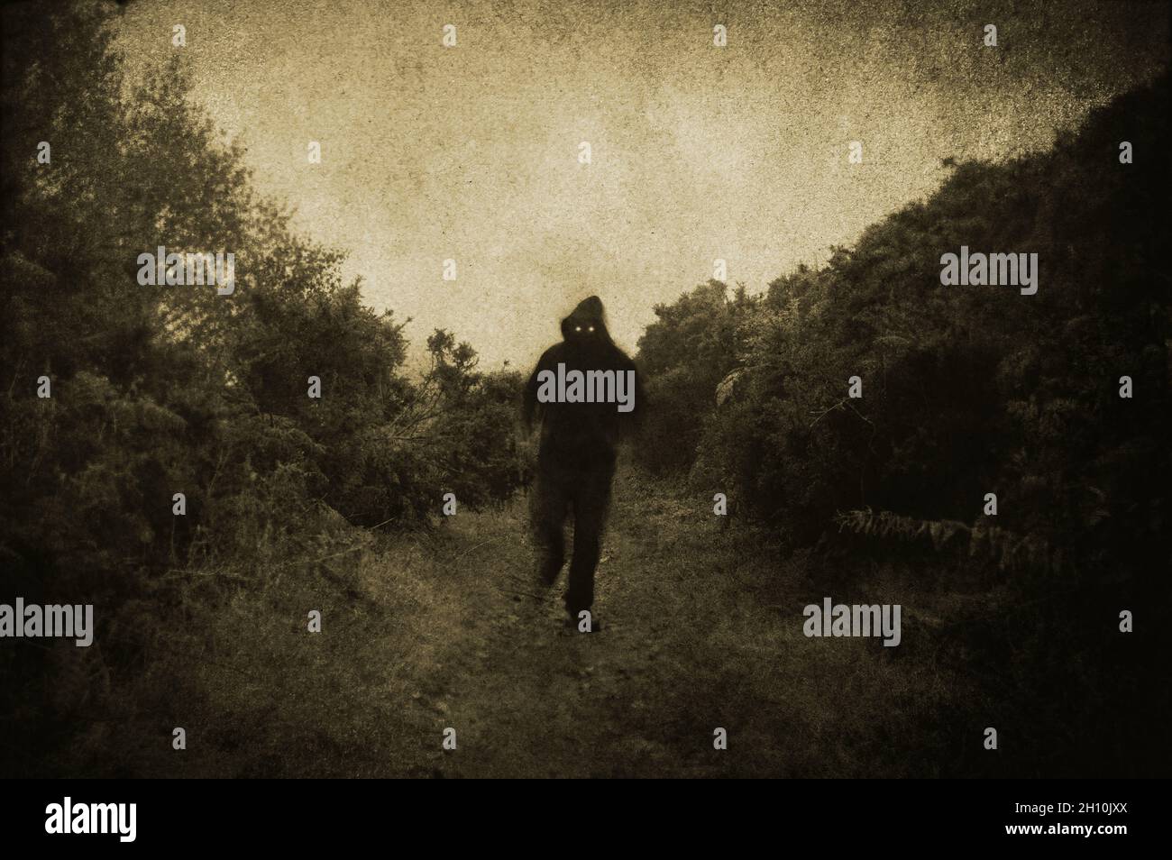 A scary horror concept. Of a supernatural demon with glowing eyes ...