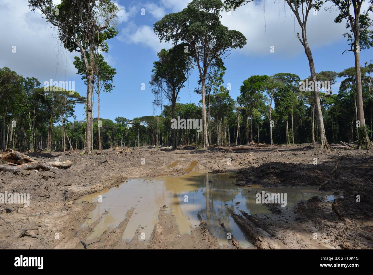 Brazil amazon rain forest deforestation hi-res stock photography and ...