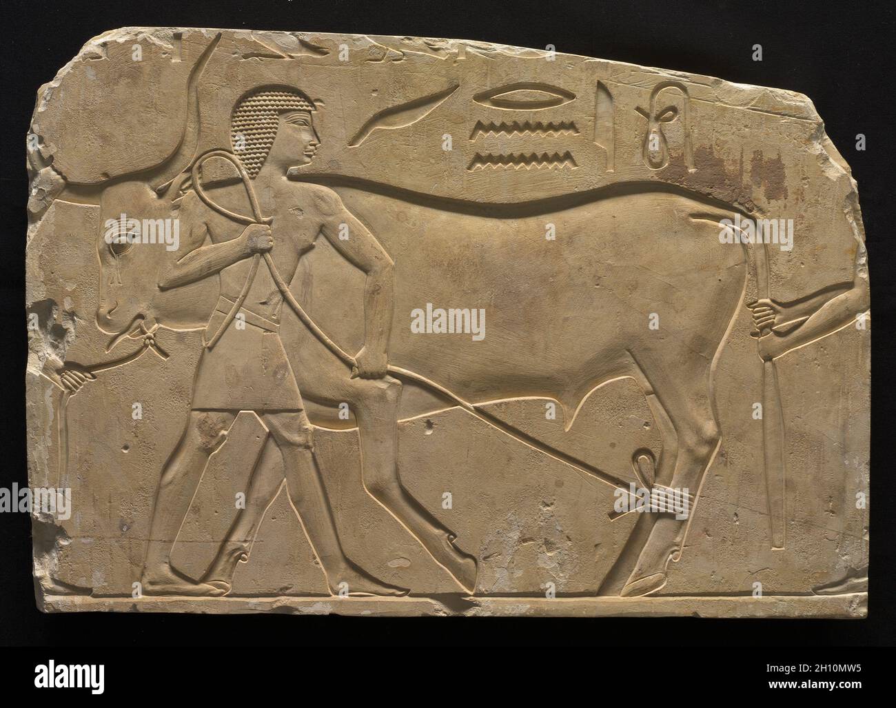 Men Trussing an Ox, 667-647 BC. Egypt, Thebes, Late Period, Late ...
