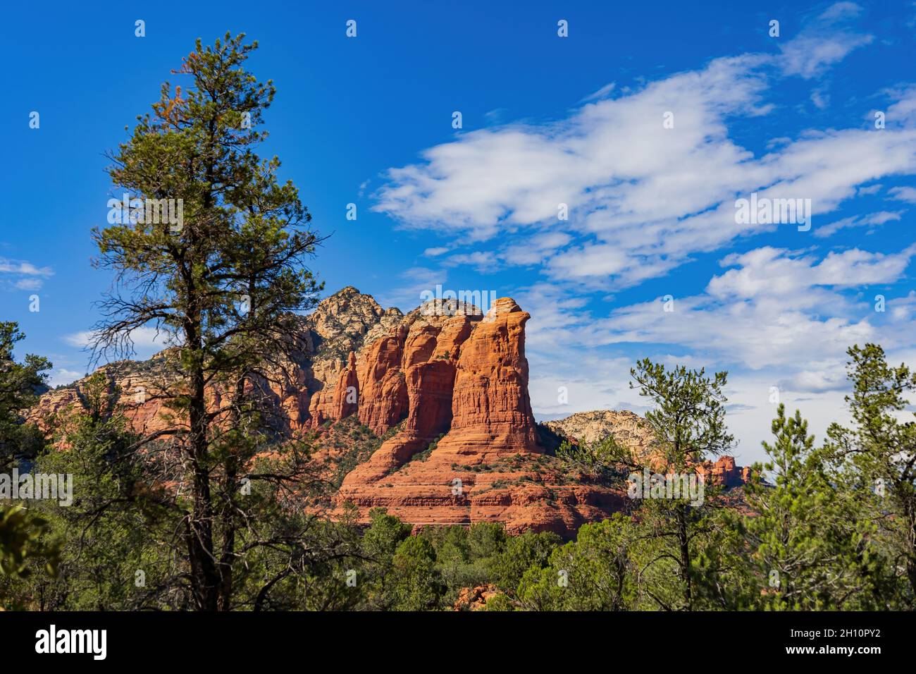 Sunny beautiful landscape of Sedona, Arizona Stock Photo - Alamy