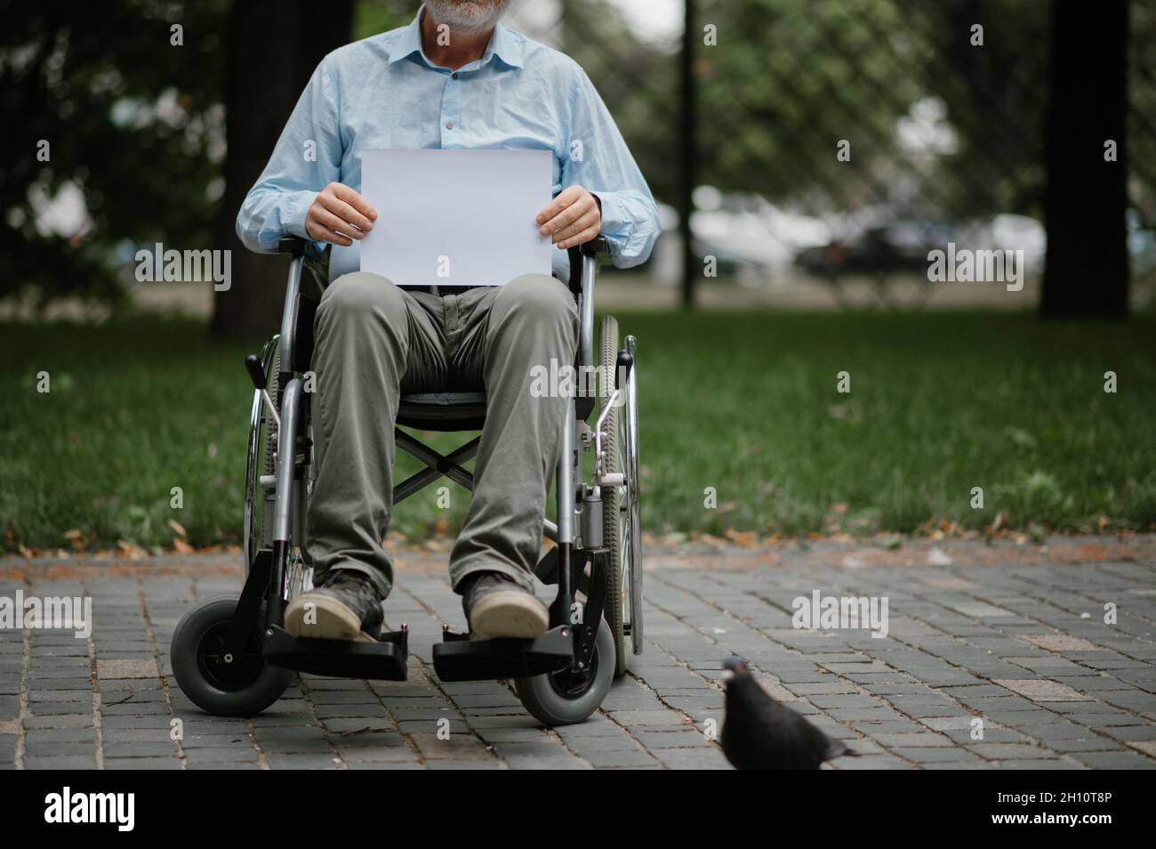 Adult disabled man in wheelchair walking in park Stock Photo - Alamy