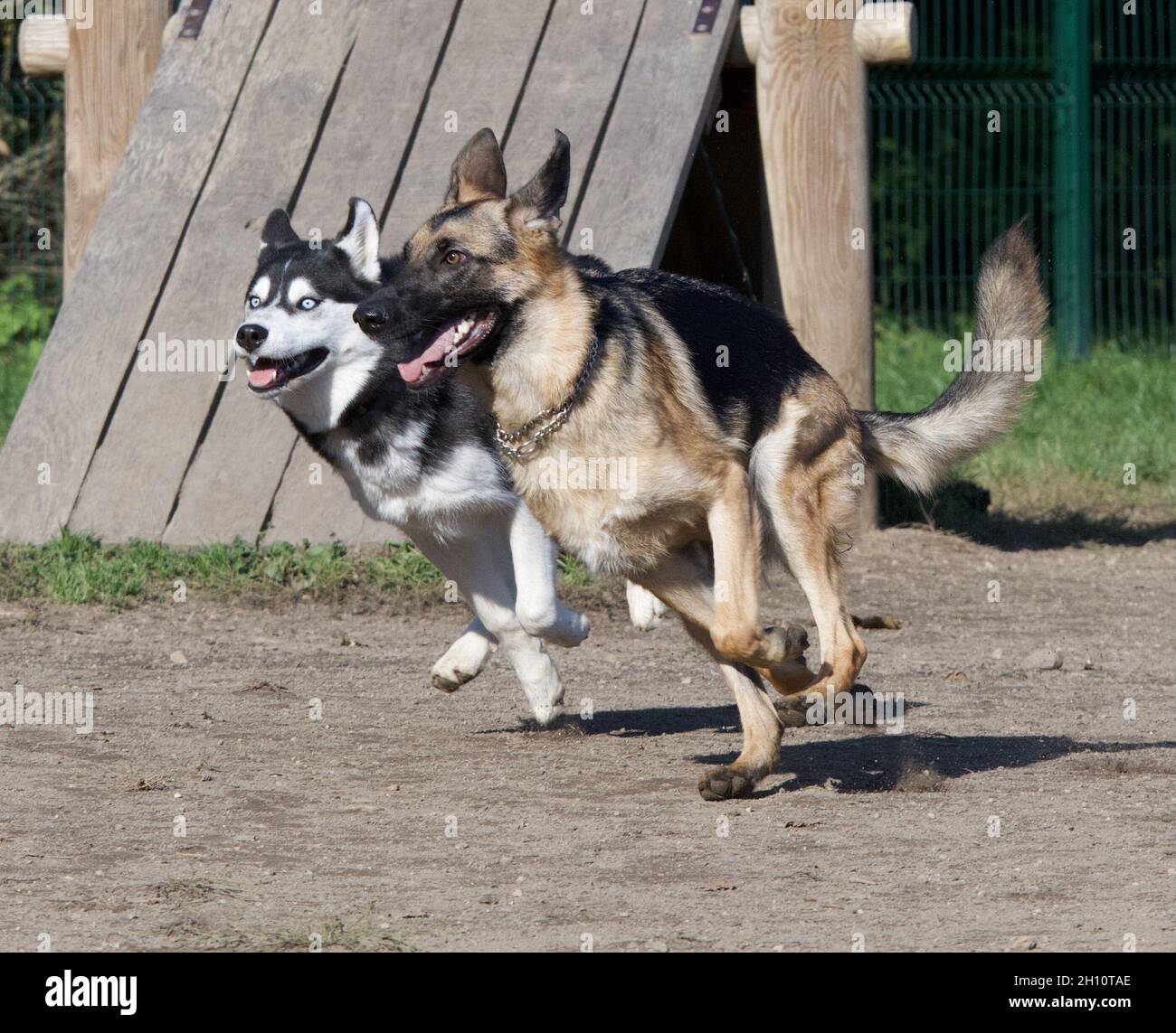 Unleashed energy hi-res stock photography and images - Alamy