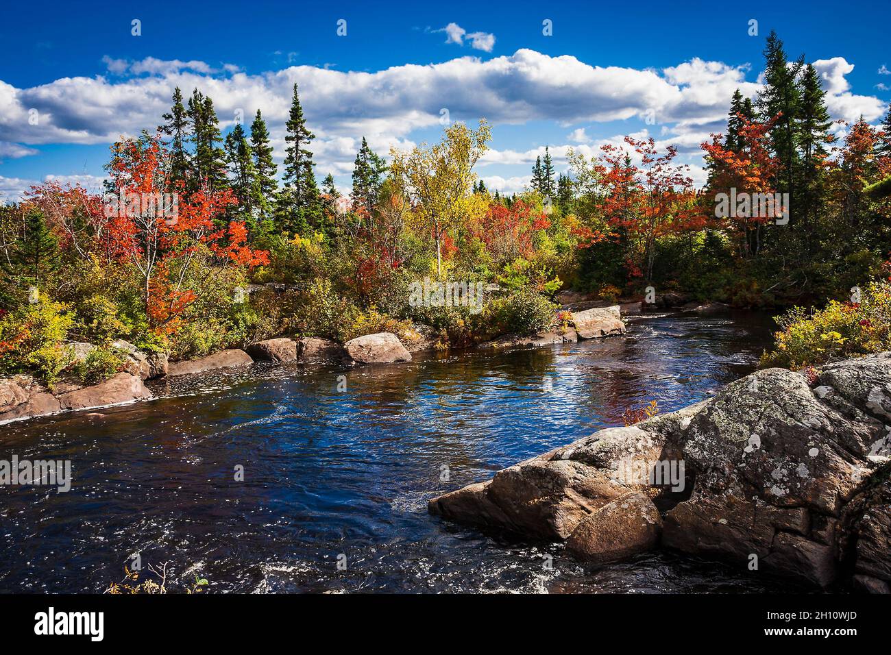 Fall in Newfoundland, Canada Stock Photo - Alamy