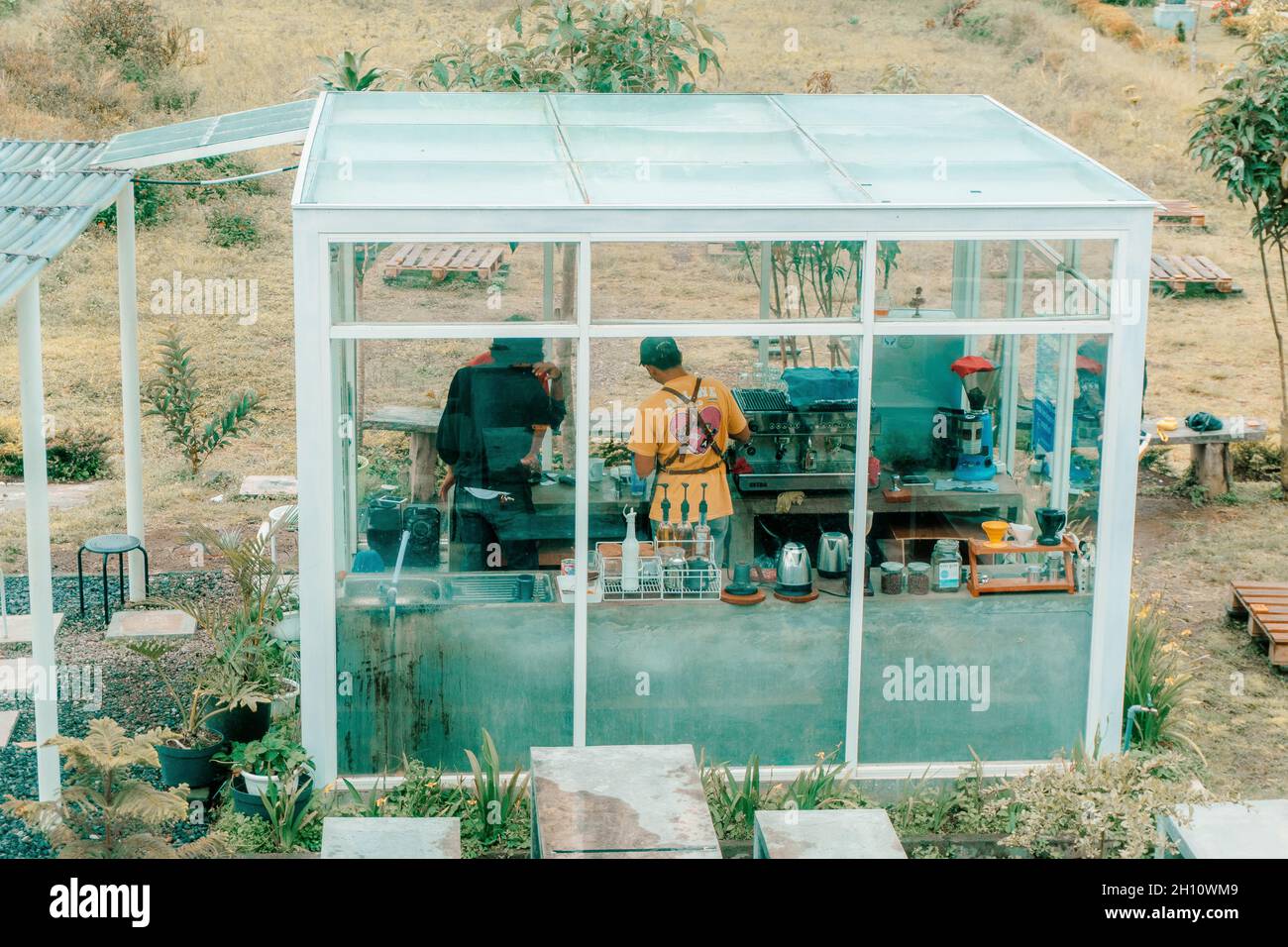 Group of young people working in a small coffee shop with transparent ...