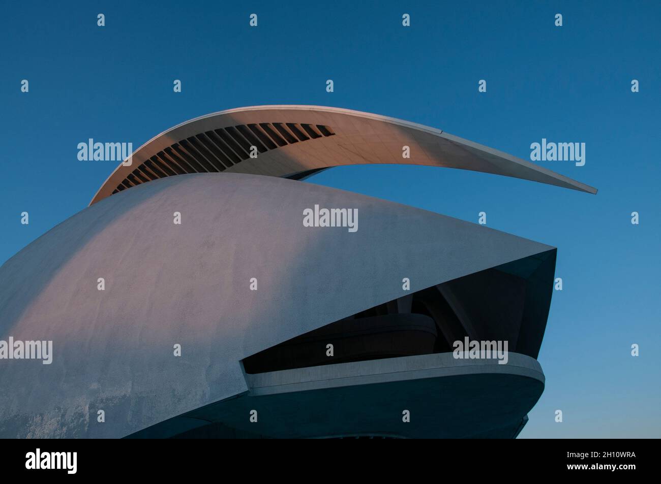 Palau de les Arts Reina Sofia (2005). City of Arts and Sciences ...