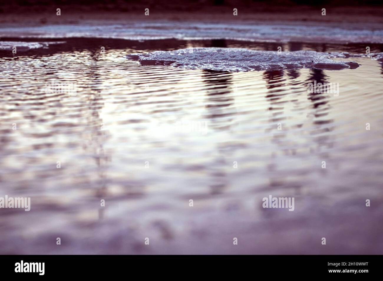 Sahara Desert, Salt Lake, Tunisia. Salt close-up in the salt desert ...