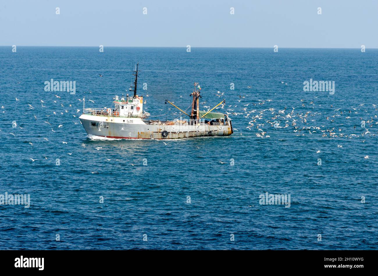 A fishing ship carries catch while a flock of seagulls goes around it ...