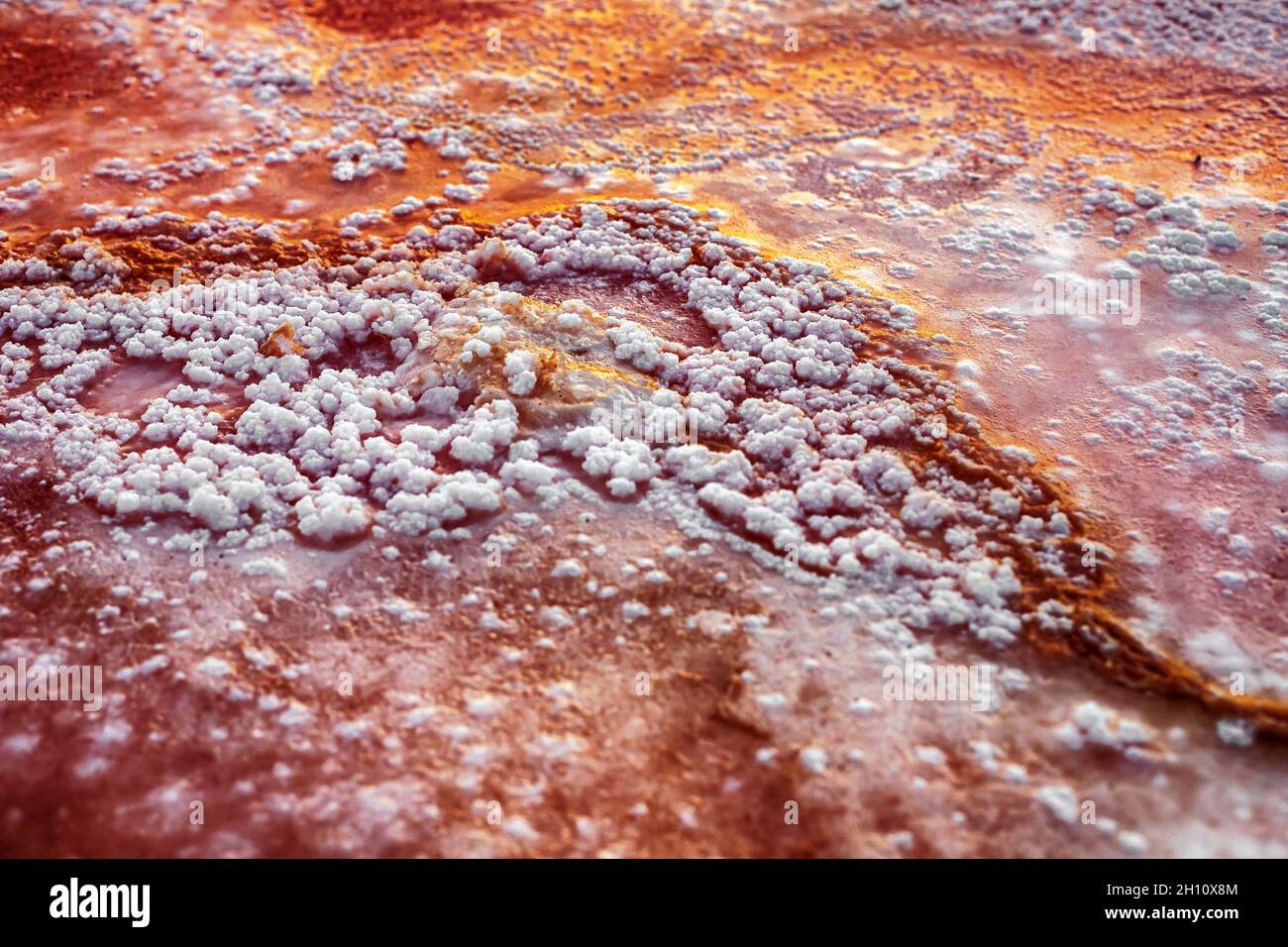 Sahara Desert, Salt Lake, Tunisia. Salt close-up in the salt desert ...