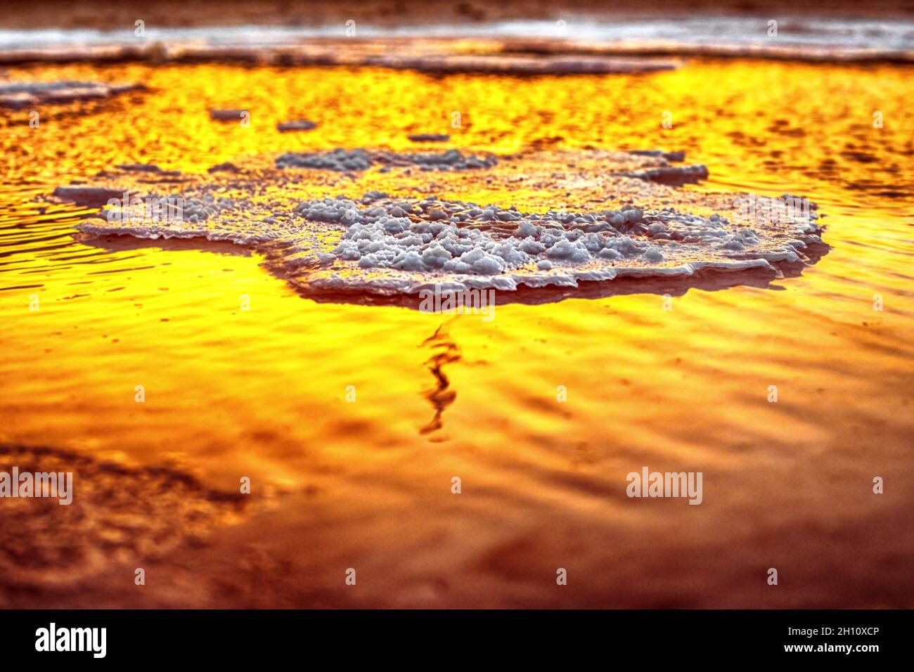 Sahara Desert, Salt Lake, Tunisia. Salt close-up in the salt desert ...