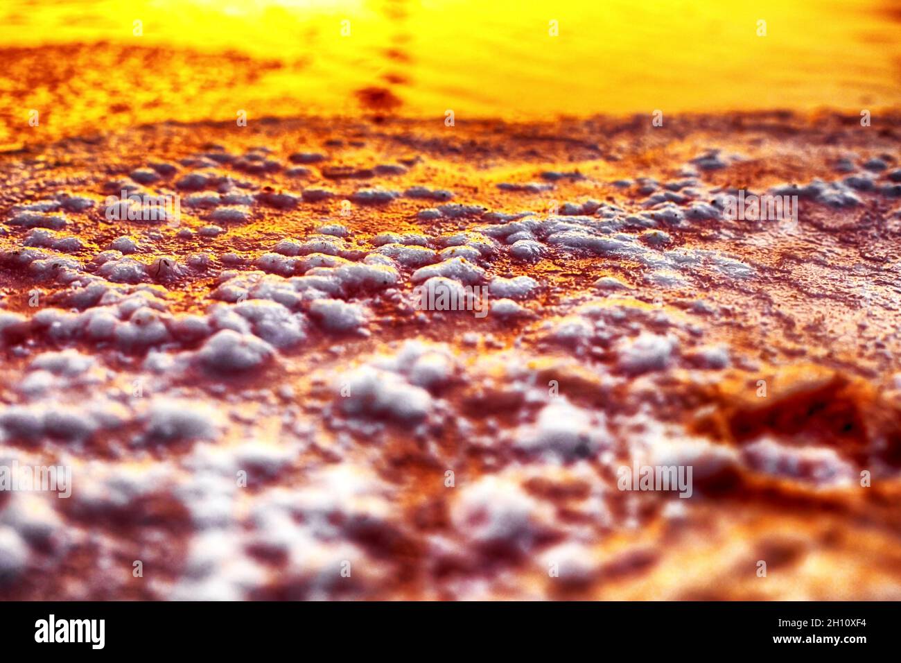 Sahara Desert, Salt Lake, Tunisia. Salt close-up in the salt desert ...