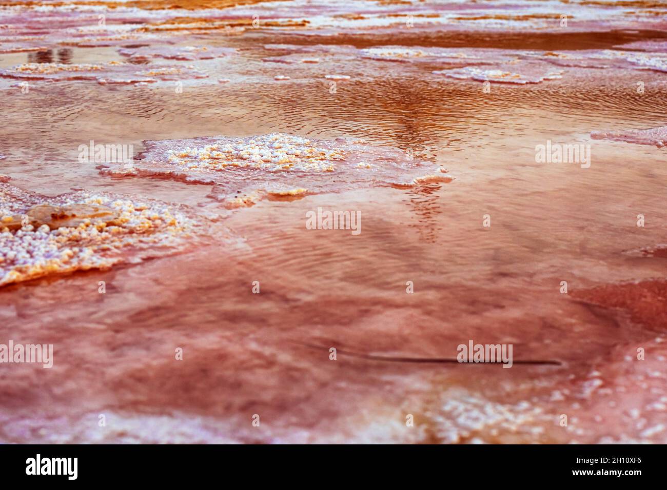 Sahara Desert, Salt Lake, Tunisia. Salt close-up in the salt desert ...