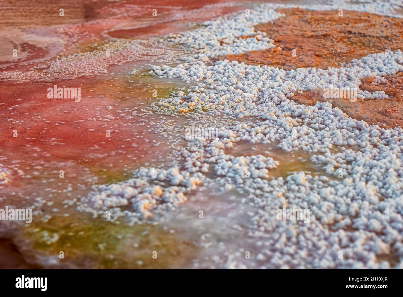 Sahara Desert, Salt Lake, Tunisia. Salt close-up in the salt desert ...