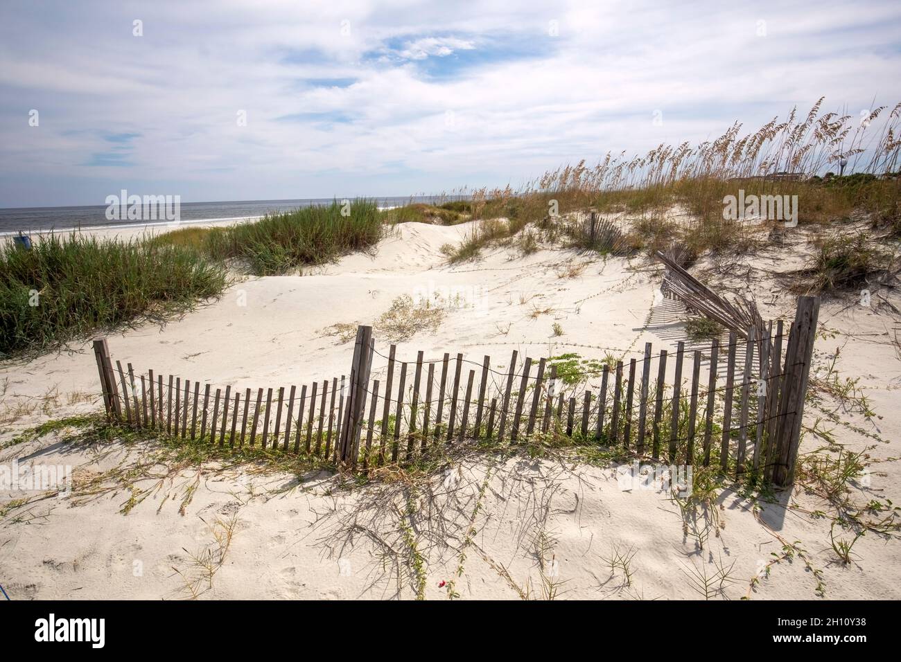 Coastal sand dunes at Great Dunes Park - Jekyll Island, Georgia, USA ...