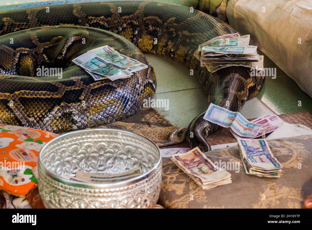 Python in the Snake monastery in Bago, Myanmar Stock Photo - Alamy