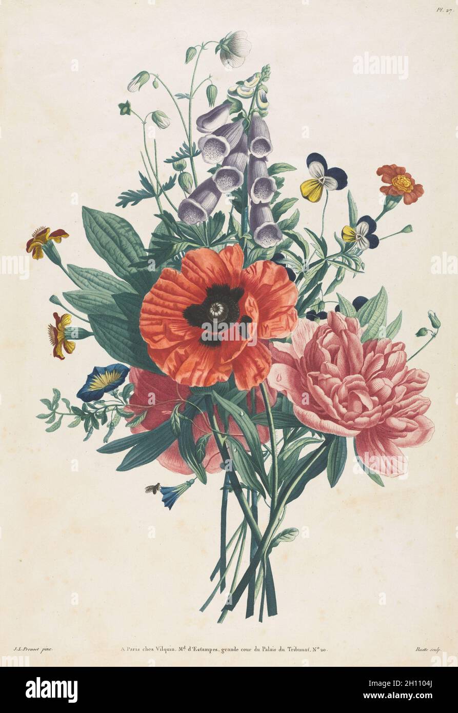 Collection of Flowers and Fruits Painted after Nature: Bouquet of ...