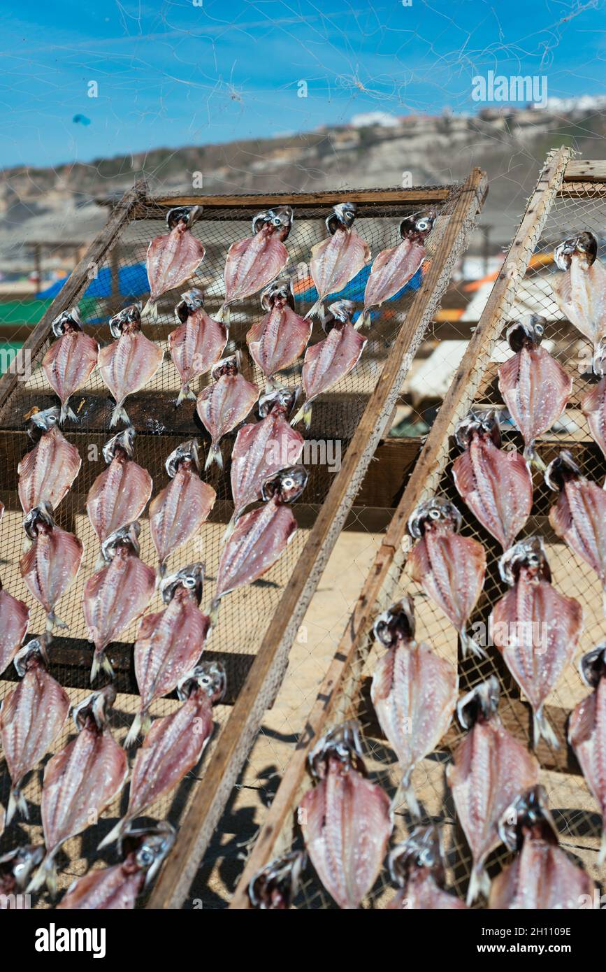 Fish drying outdooro in the traditional way Stock Photo - Alamy