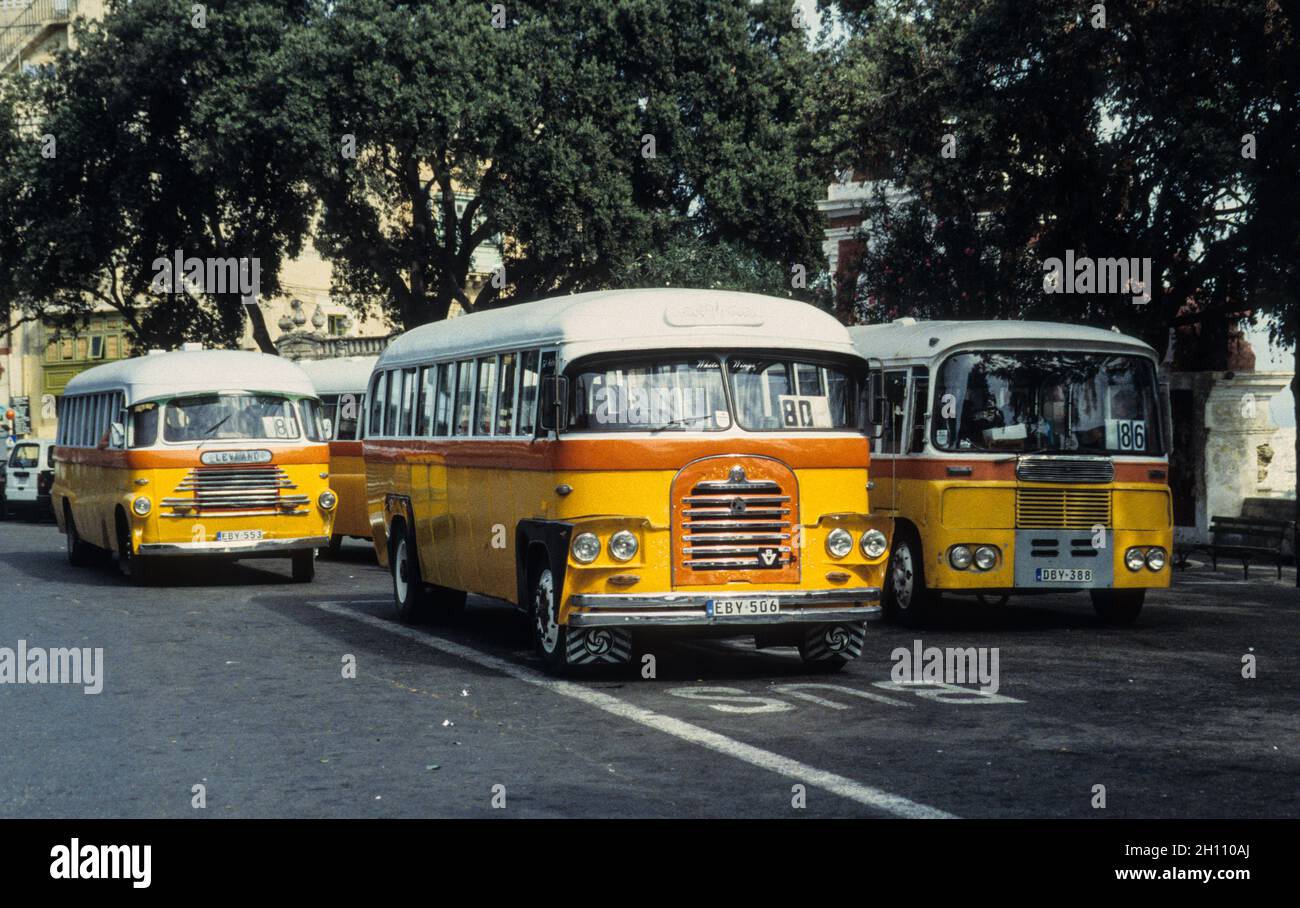Three of the famous Malta busses, colourful classic vehicles, that were ...