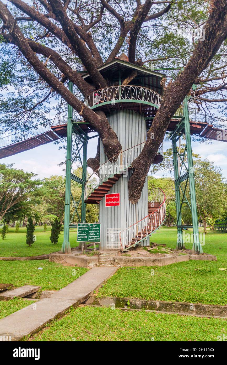 Tree tower and suspension bridges in People's Park in yangon, Myanmar ...