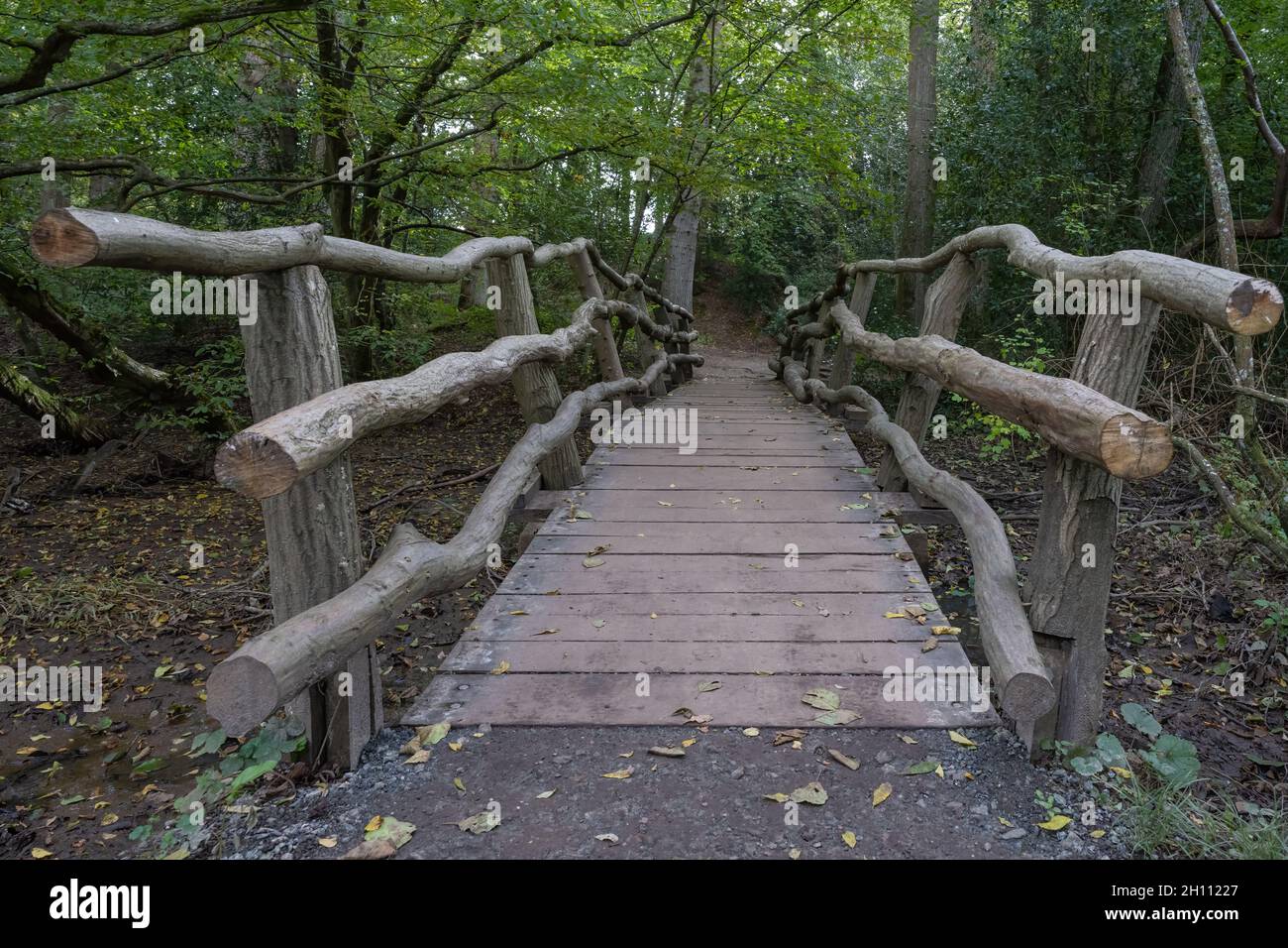 Timber Plank Bridge High Resolution Stock Photography and Images - Alamy
