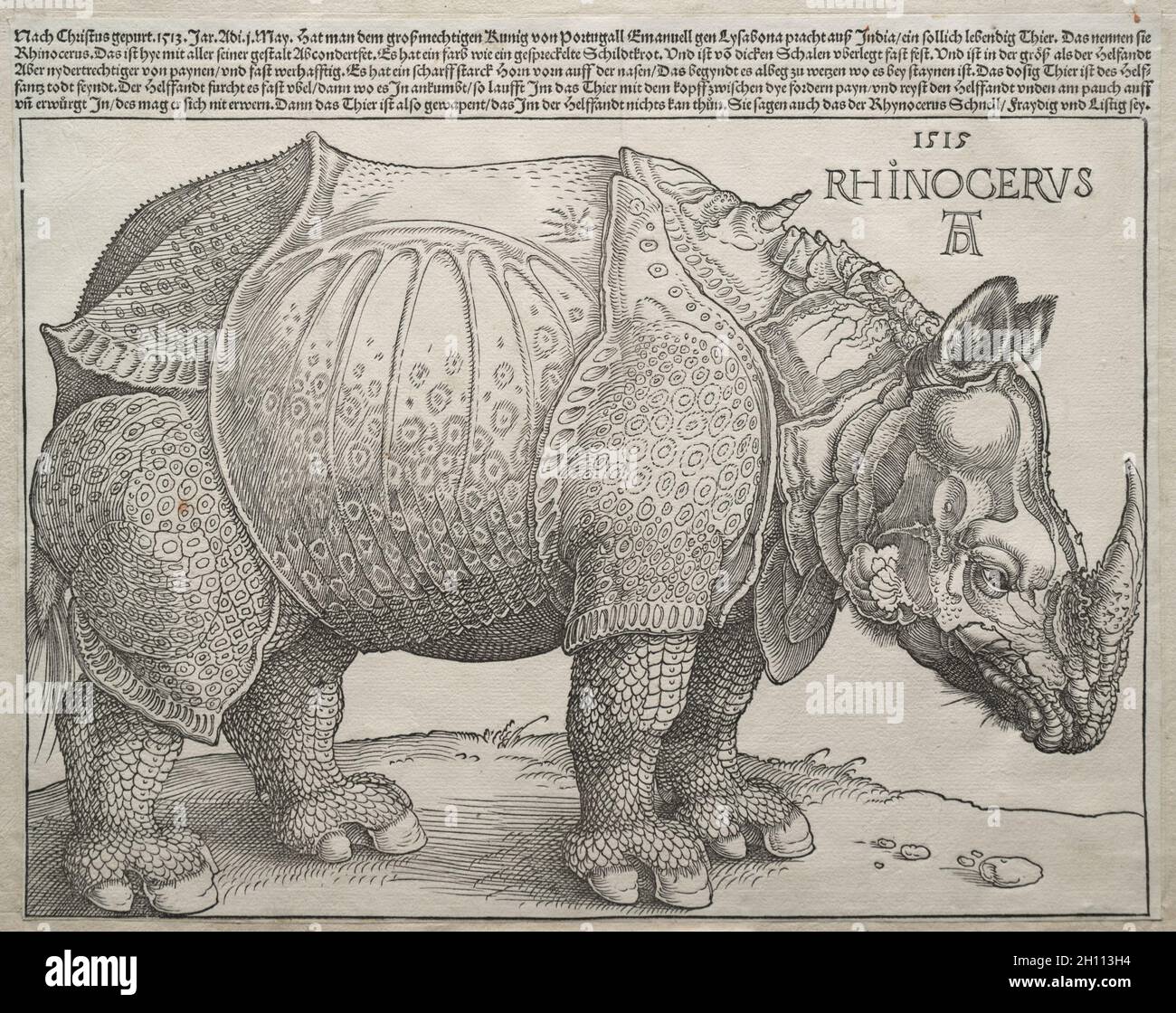 The Rhinoceros, 1515. Albrecht Dürer (German, 1471-1528). Woodcut ...