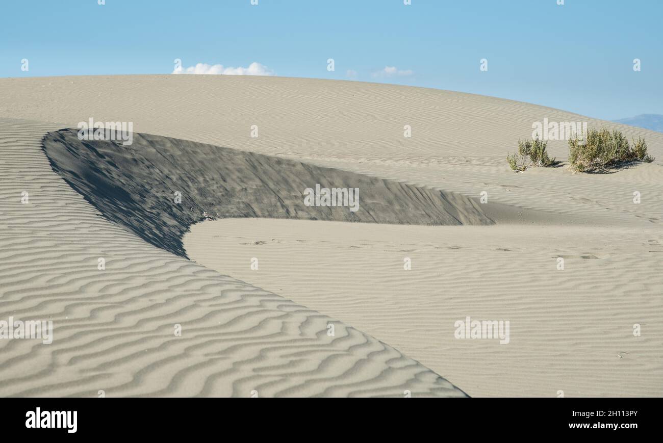 Sand dunes in the ocean. Desert dry sahara land Cyprus Stock Photo - Alamy
