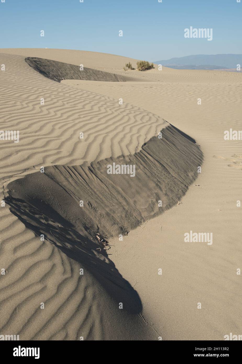 Sand dunes in the ocean. Desert dry sahara land Cyprus Stock Photo - Alamy
