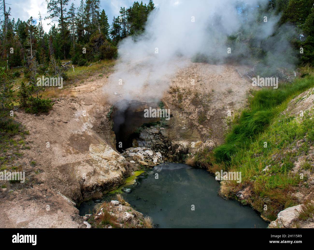 Dragons Mouth Spring, Mud Volcano Thermal Area, Yellowstone National ...