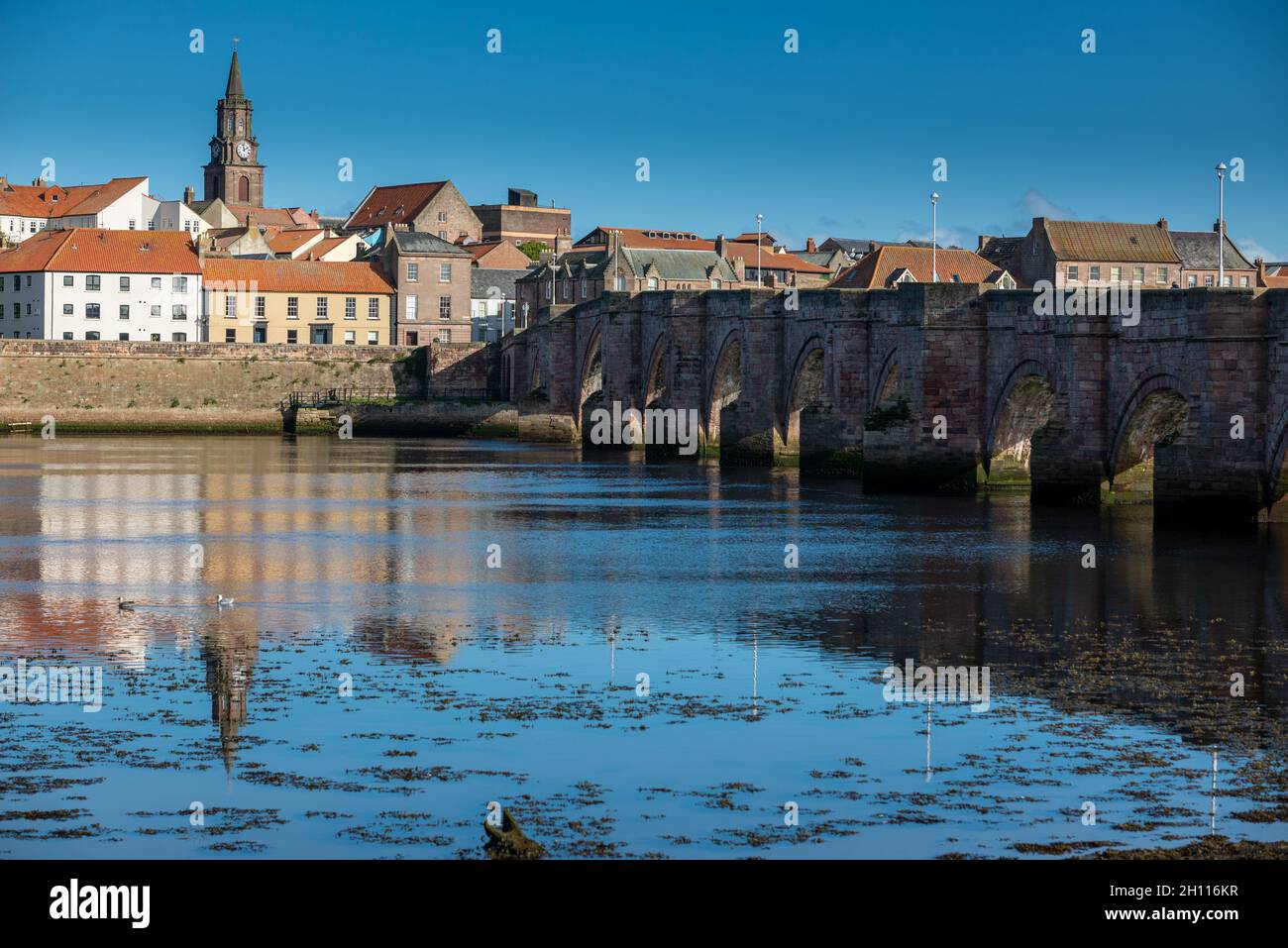 Berwick upon Tweed viewed from Tweedmouth with its town wall, Guildhall ...