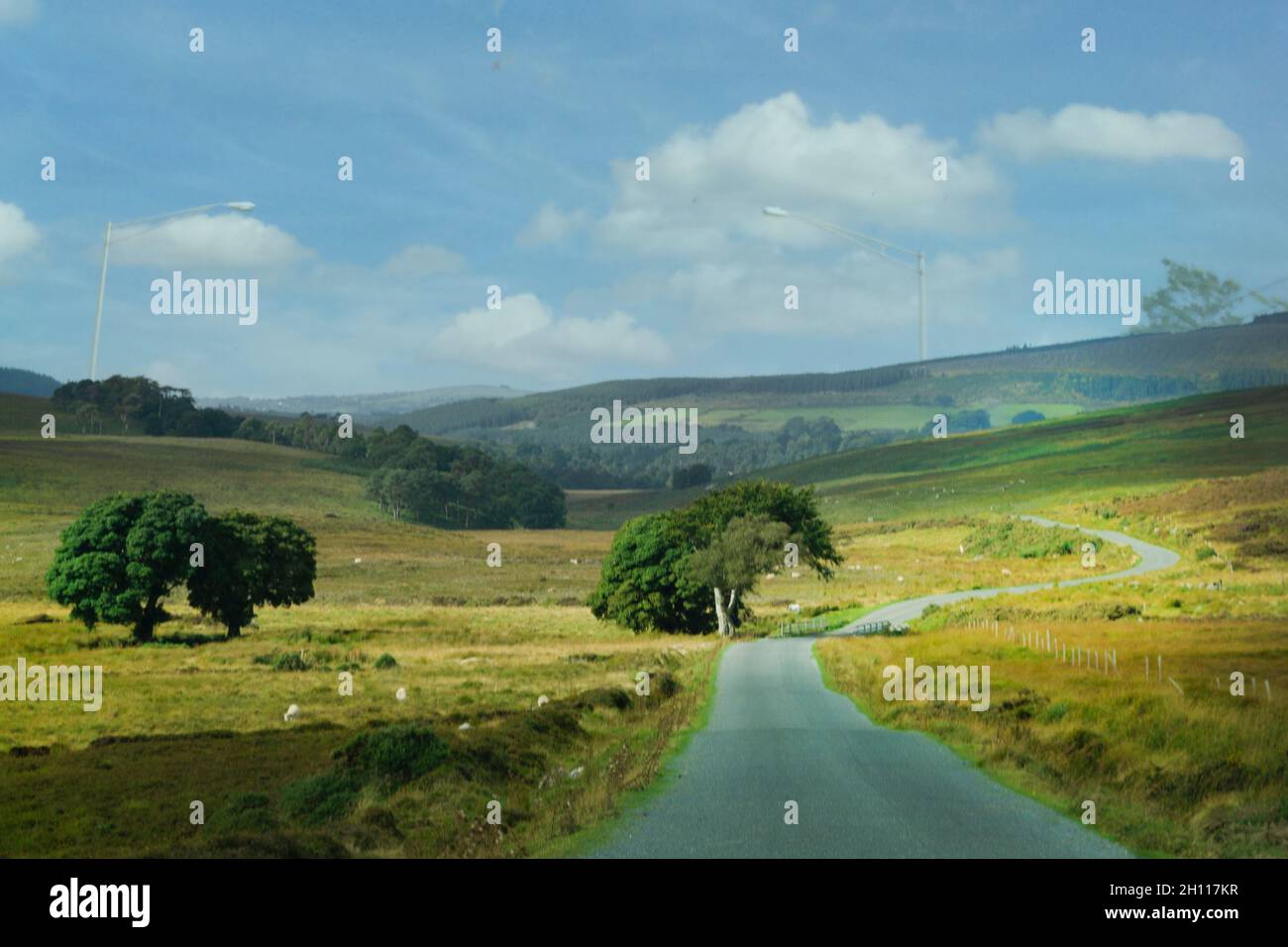 A long, narrow, windy road with sheep, trees and fields along rural ...