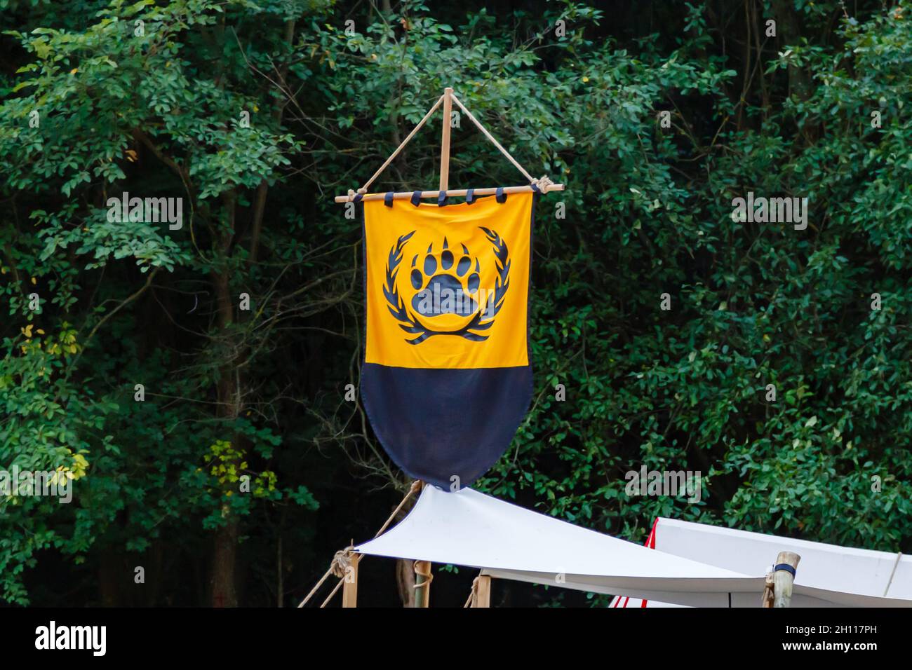 Flag with an emblem of the camp hanging on a flagpole in the woods ...