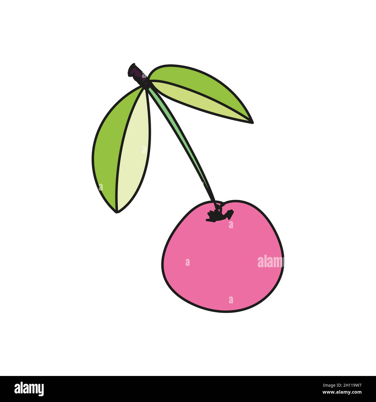 Vector illustration of cherry or sweet cherry in doodle style Stock ...