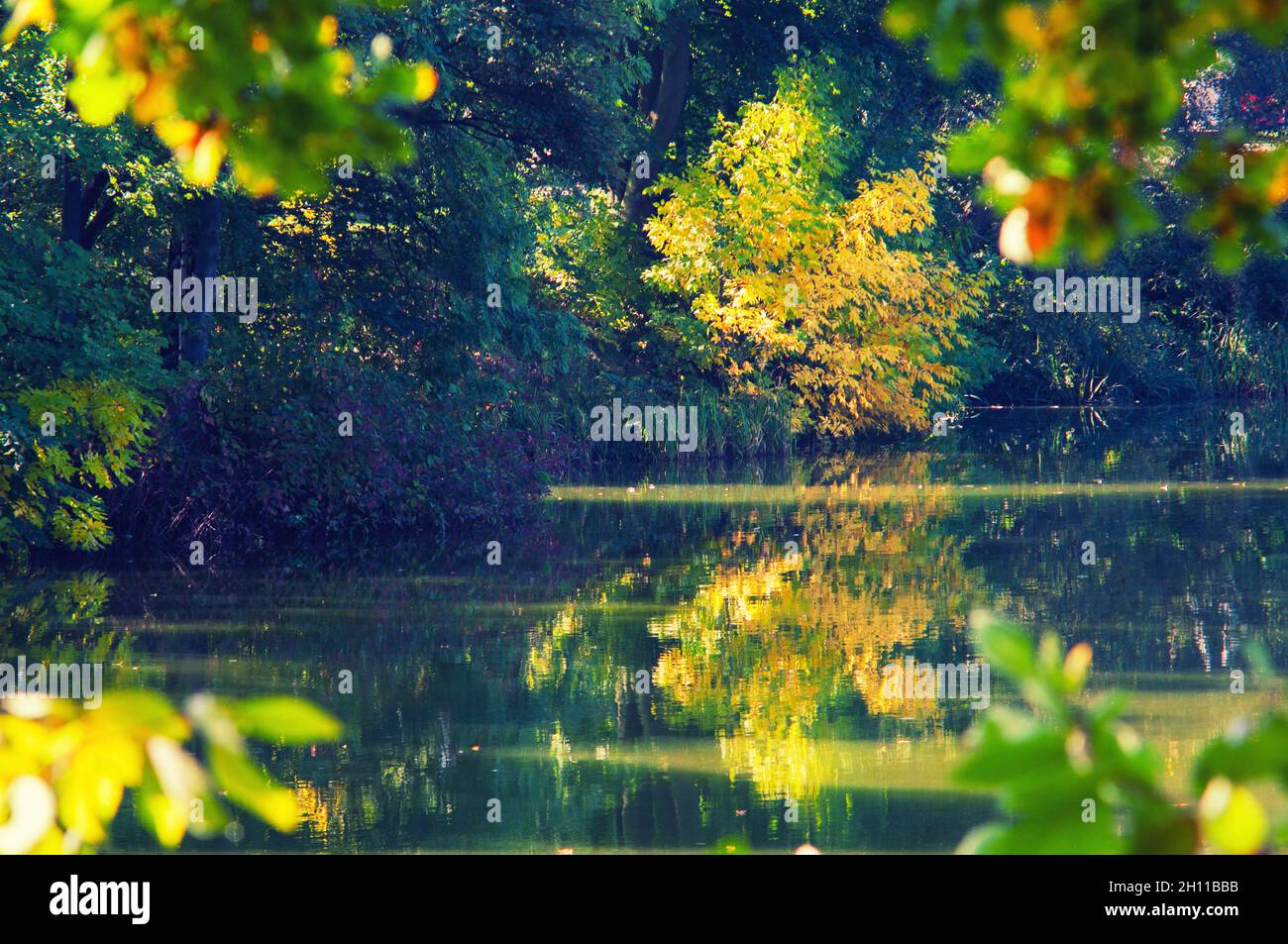 Reflection water flowers hi-res stock photography and images - Alamy