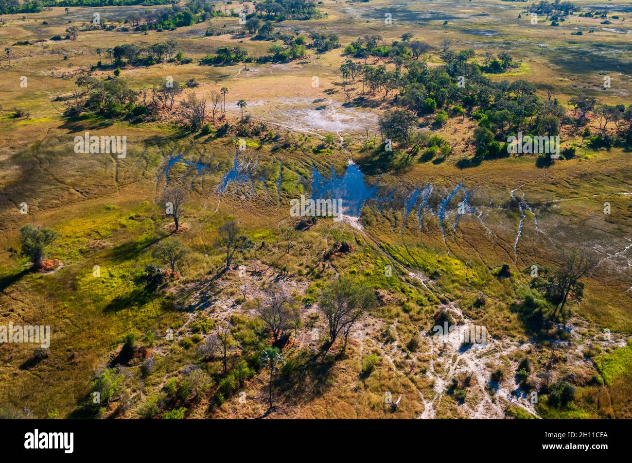 An aerial view of the Okavango Delta. Okavango Delta, Botswana Stock ...