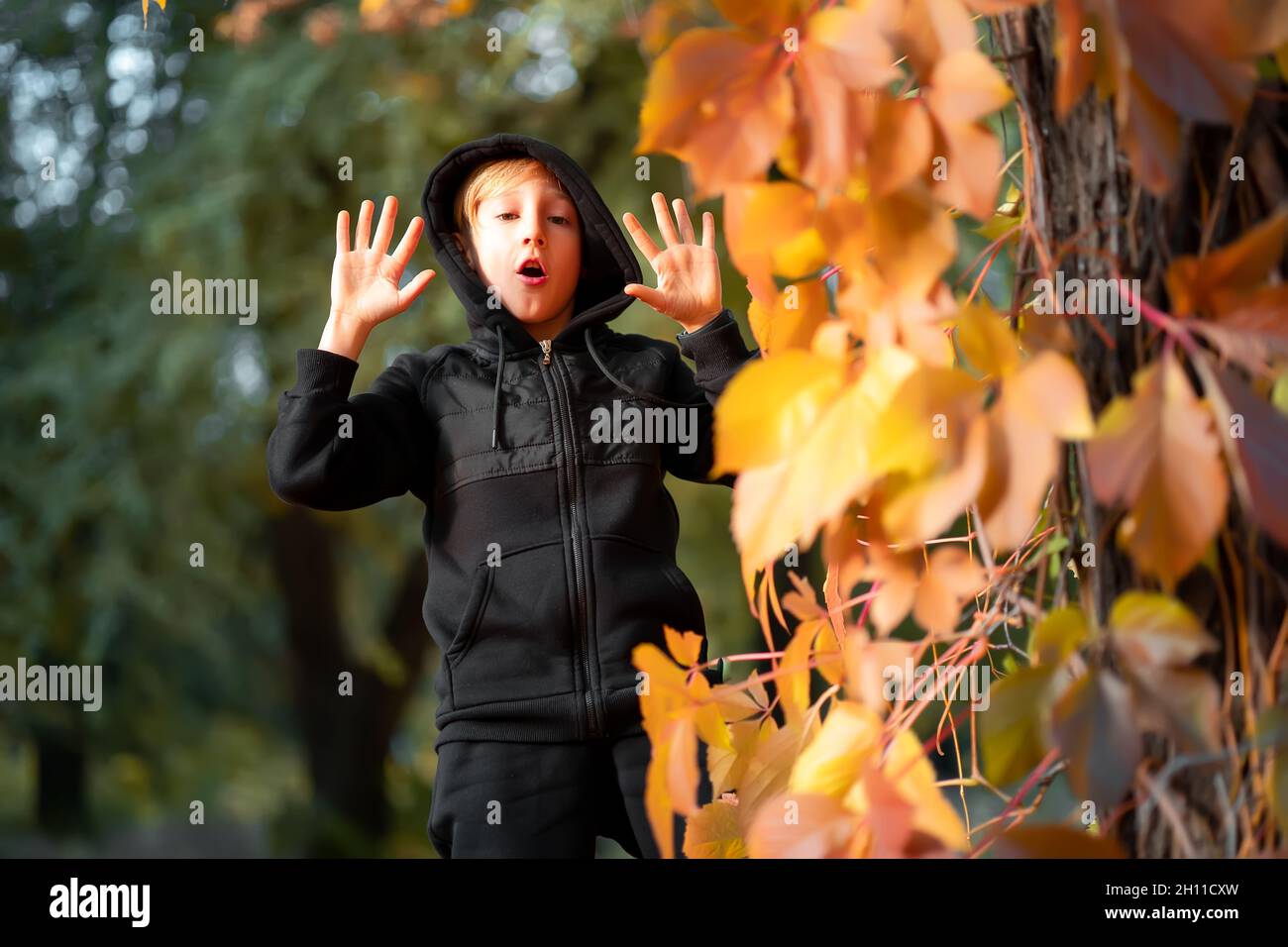 a boy in black clothes stands near a tree on which yellow autumn leaves ...