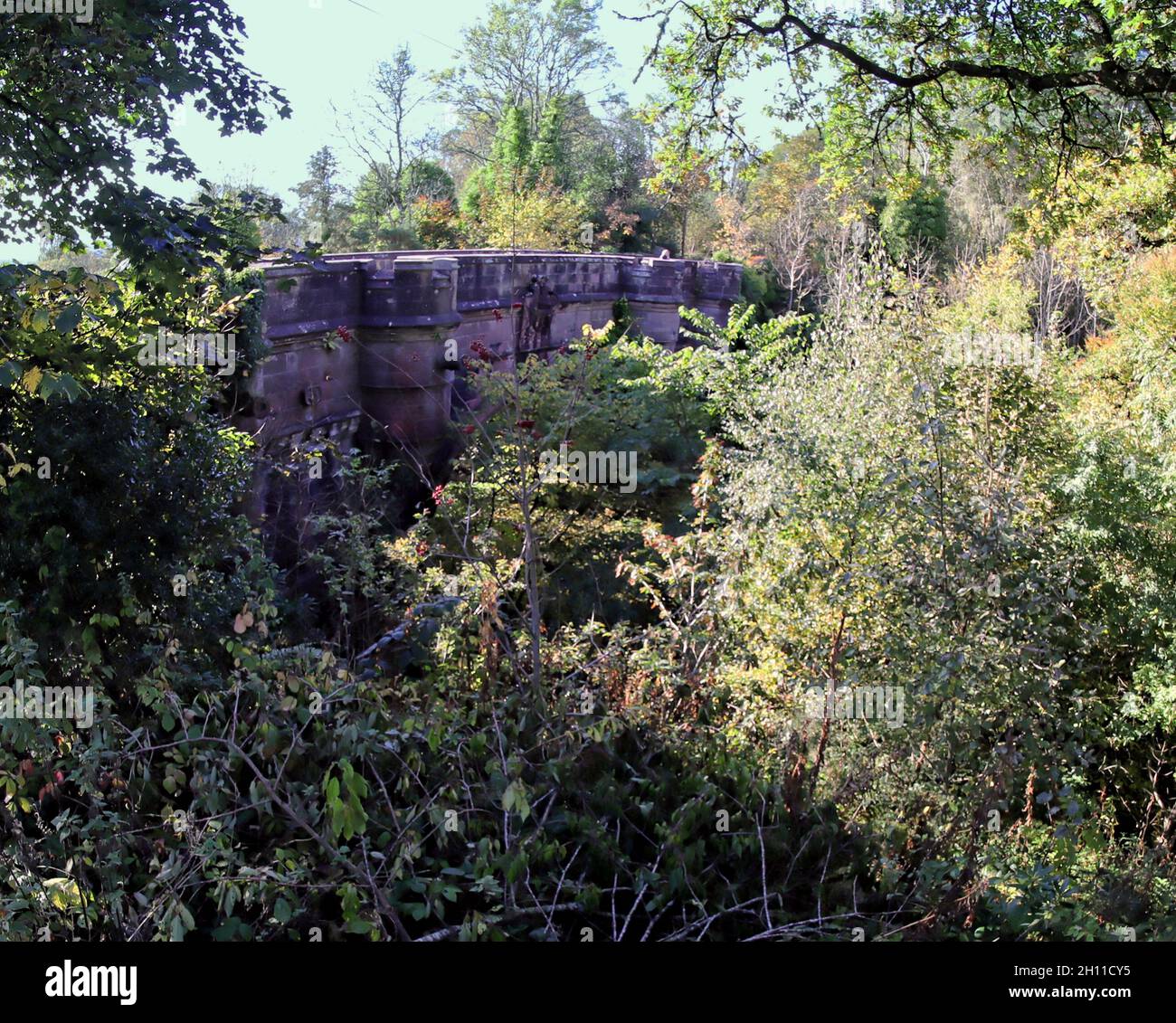 Dog suicide bridge overtoun hi-res stock photography and images - Alamy