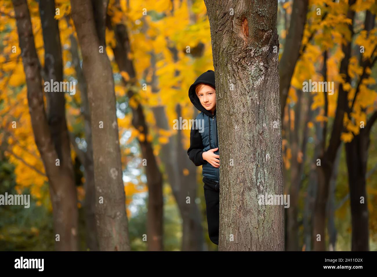 Children hiding in behind tree hi-res stock photography and images - Alamy