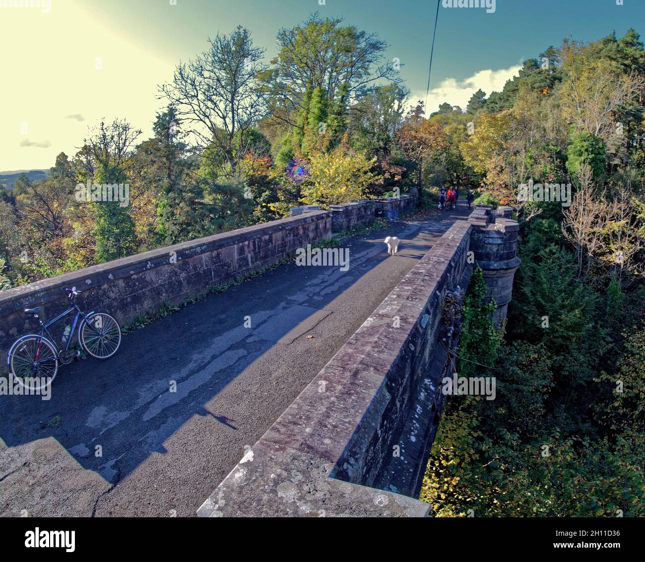 Dog suicide bridge overtoun hi-res stock photography and images - Alamy