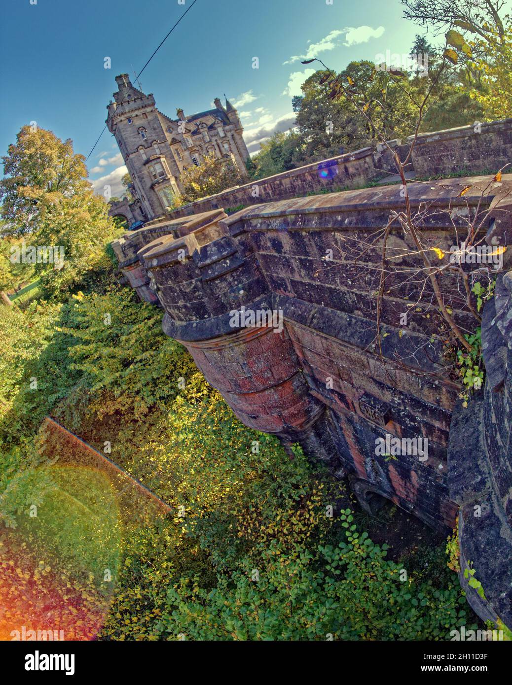 Dead dog hi-res stock photography and images - Alamy