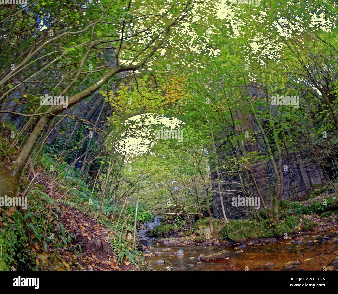 Dog suicide bridge overtoun hi-res stock photography and images - Alamy