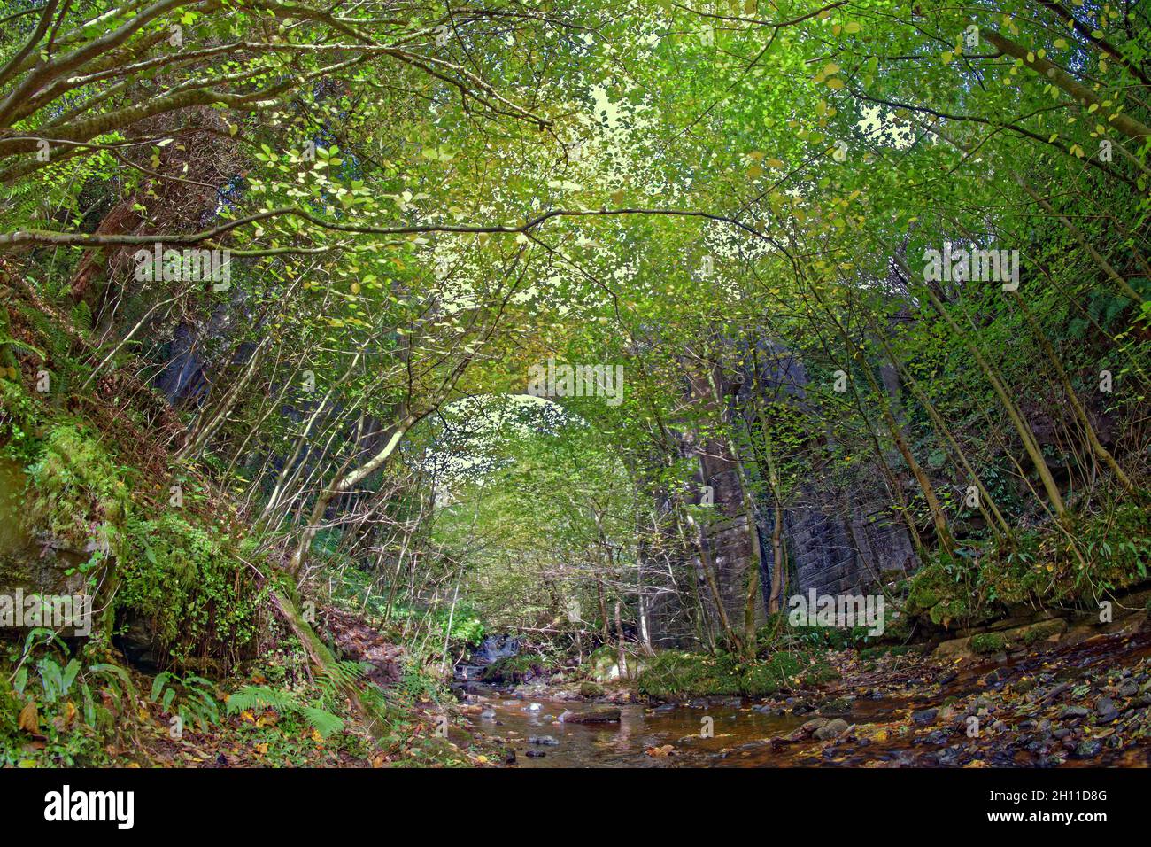 Dog suicide bridge dumbarton hi-res stock photography and images - Alamy