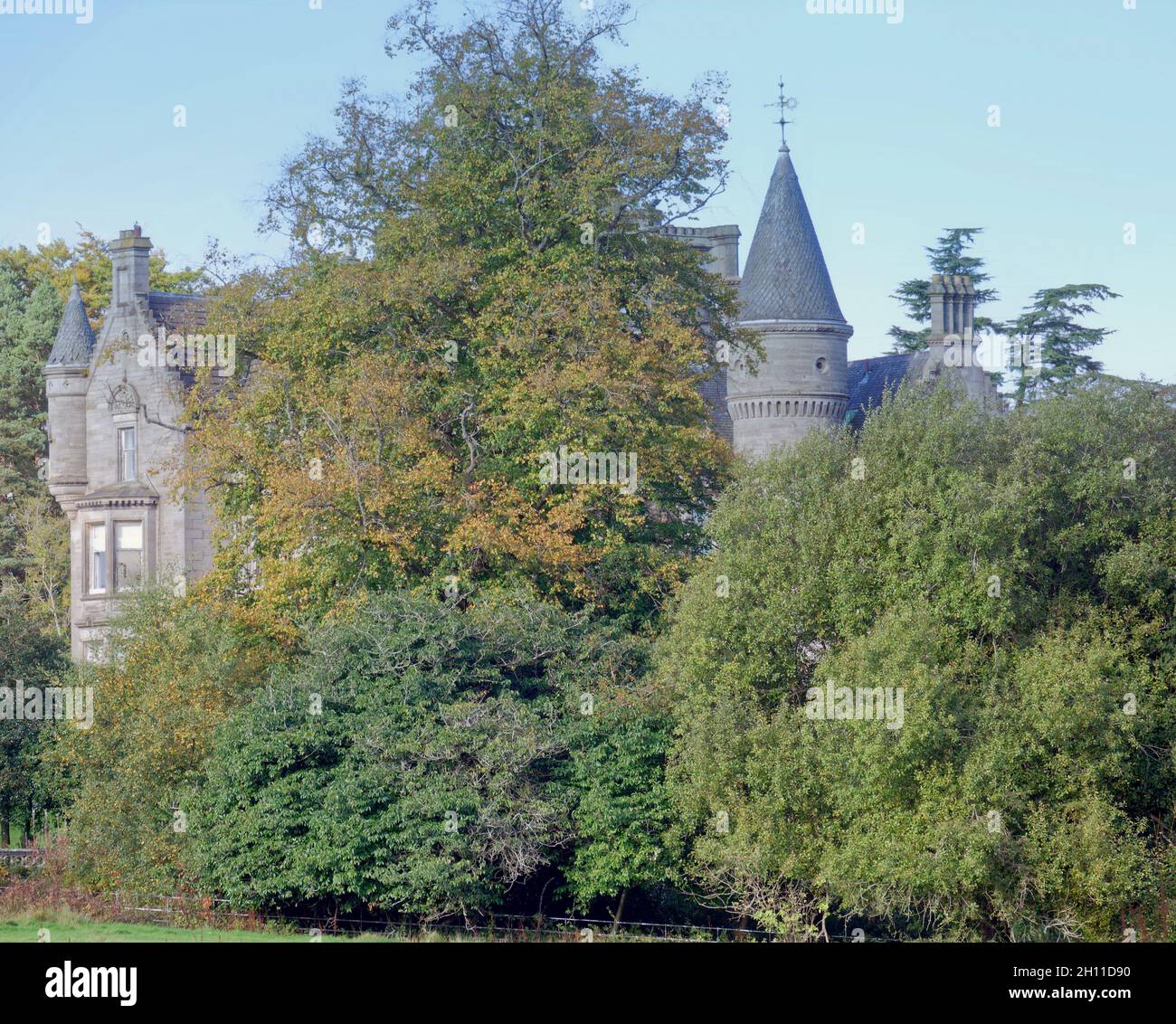 Dog suicide bridge overtoun hi-res stock photography and images - Alamy