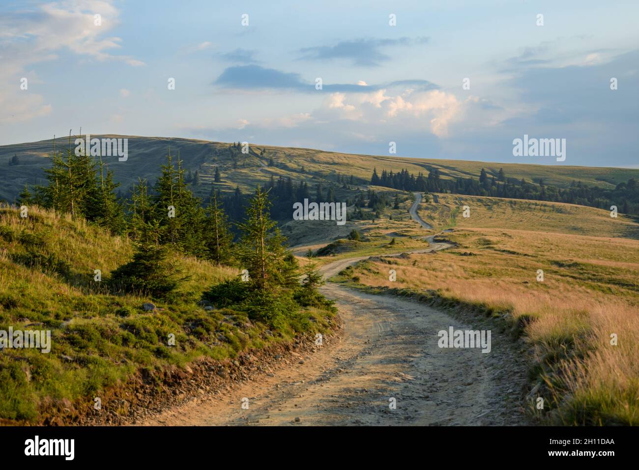 Beautiful view of a path surrounded by mountain valleys and firs Stock ...