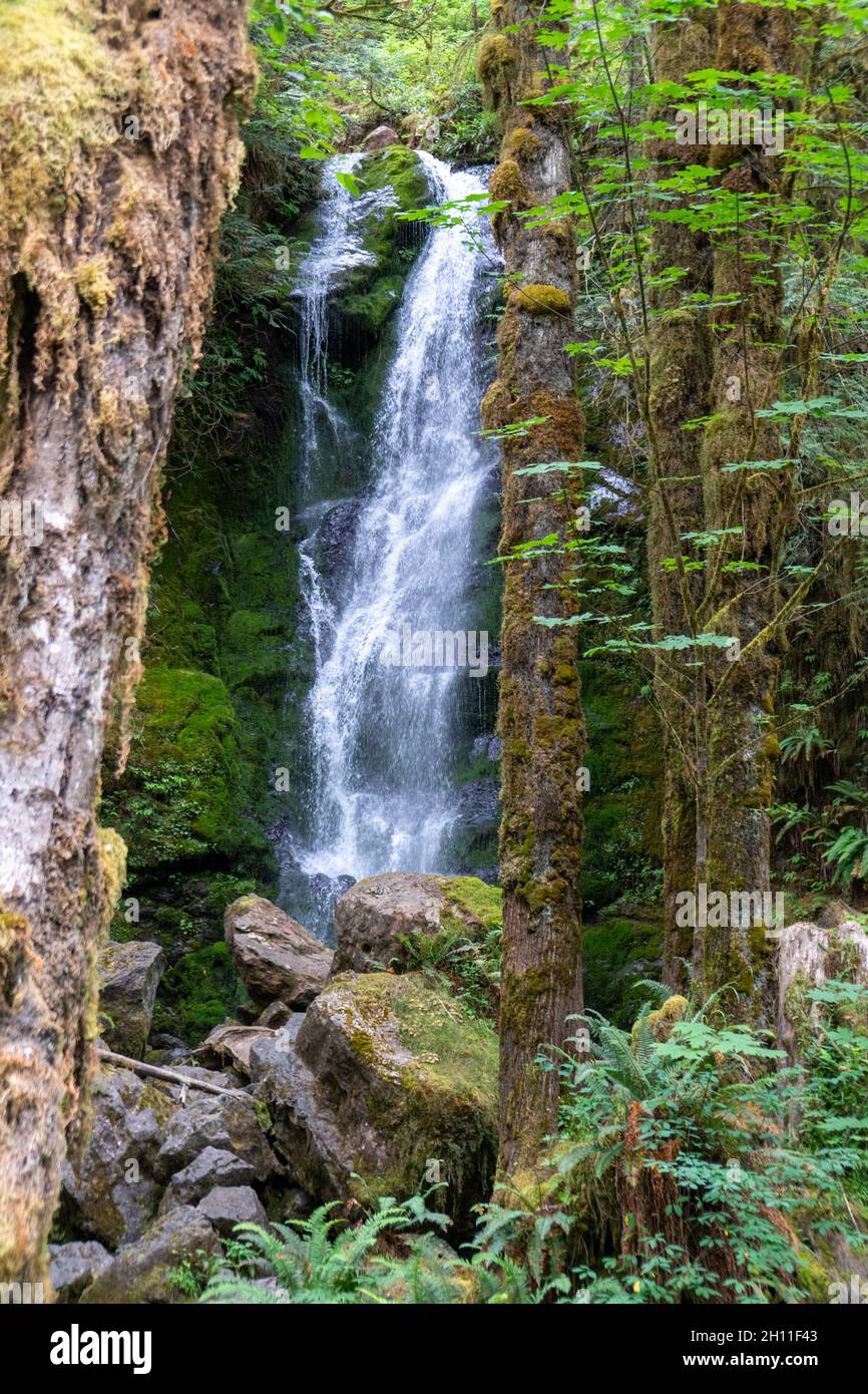 Merriman Falls waterfall in Olympic National Park Washington State ...
