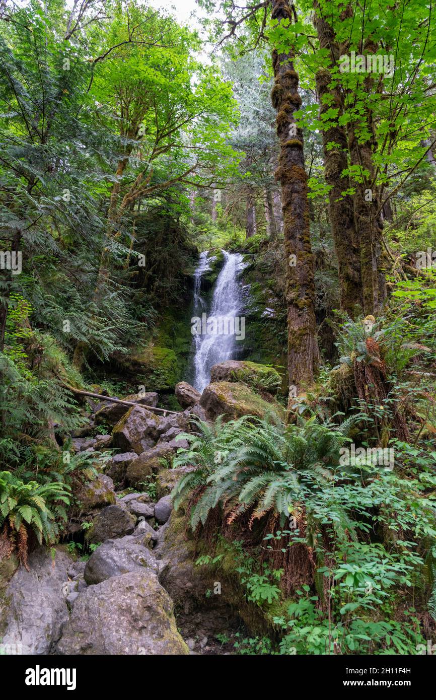 Merriman Falls waterfall in Olympic National Park Washington State ...